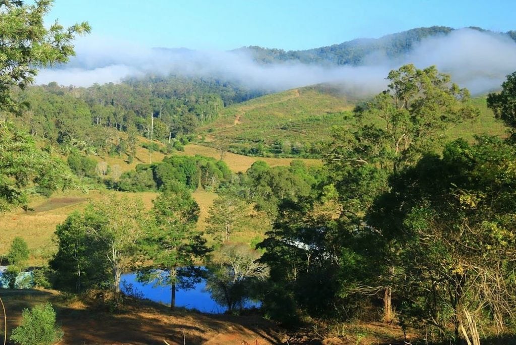 DRIFTA FANS CAMPING EVENT QUEENSLAND 2019 – BLUFF CREEK - Drifta ...